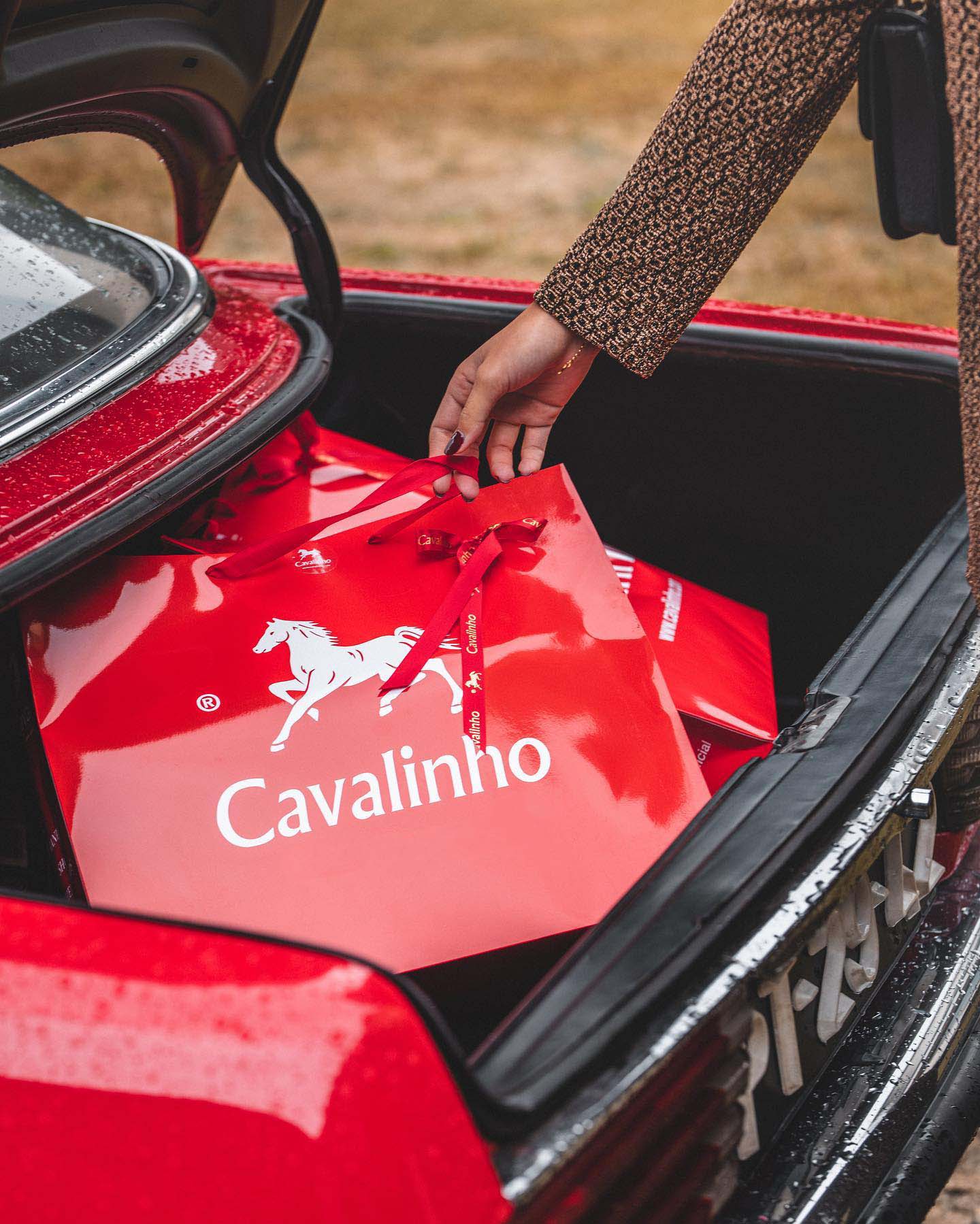 Women's Shoes – Cavalinho Canada & USA